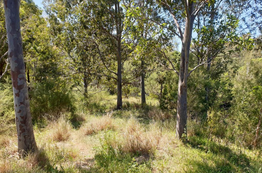 From east to west on Kronos Hill | Sydney Olympic Park